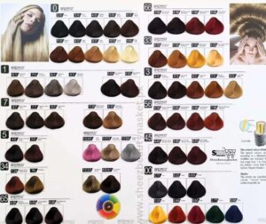 Bremod Hair Color Chart: A Comprehensive Guide (2023)